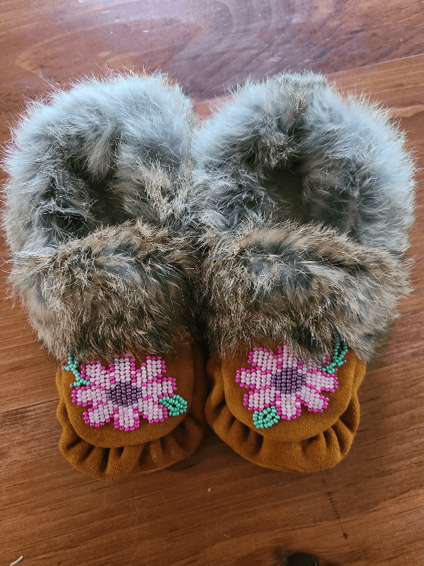 NATIVE AMERICAN AND INDIGENOUS ARTS